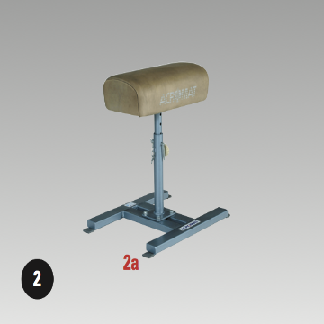 Pommel Equipment & Mushrooms - Acromat - Buck - Pommel - Leather - A13-98